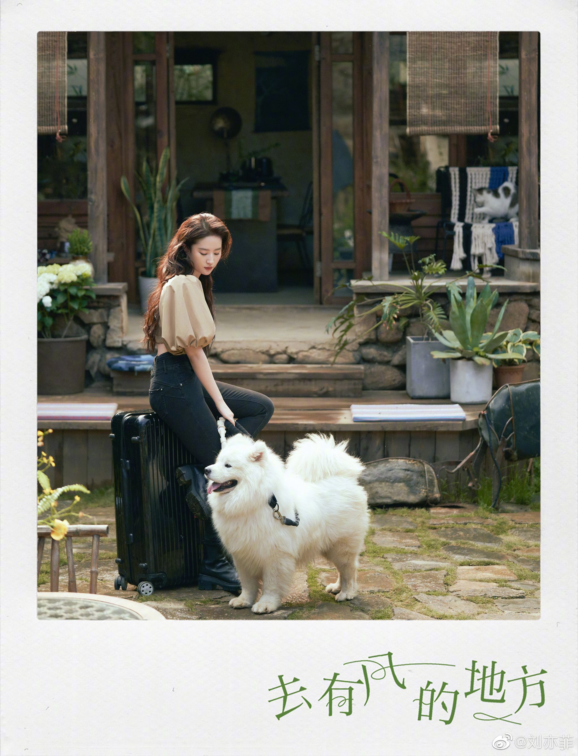 ไม่ดูไม่ได้! Meet Yourself ซีรี่ย์จีนแนวปัจจุบันเรื่องแรกของหลิวอี้เฟย!