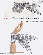 Dior Map of Paris (Dior Plan de Paris) คอลเลคชั่นลายแผนที่ สุดสวยหรู