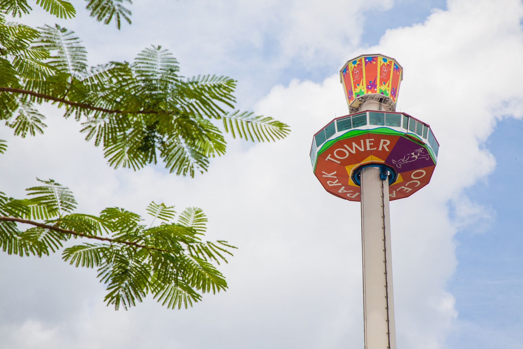 รวมไฮไลต์ห้ามพลาดใน Ocean Park Hong Kong